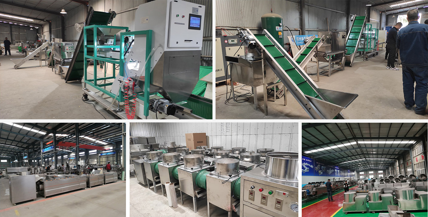 Garlic Processing Machines - TAIZY