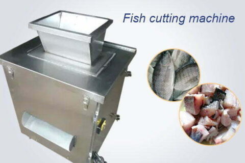 Food Machine - Taizy Machinery Co., Ltd