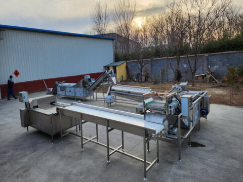 2t/h Chicken Feet Peeling Line for Chicken Meat Processing