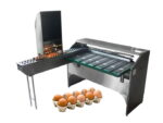 Practical Small Egg Grading Machine for Farm Use