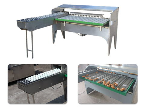 Practical Small Egg Grading Machine for Farm Use