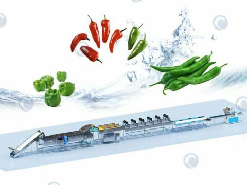 Complete Fruit Vegetable Washing Plant Design for Factories