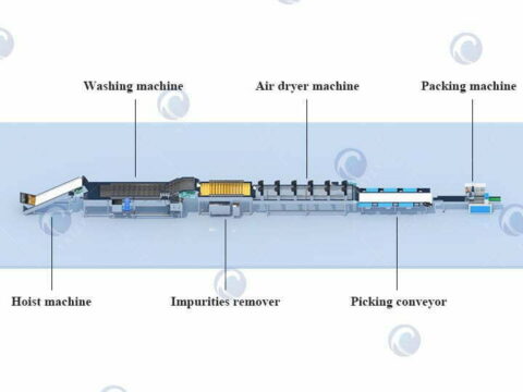 Complete Fruit Vegetable Washing Plant Design for Factories